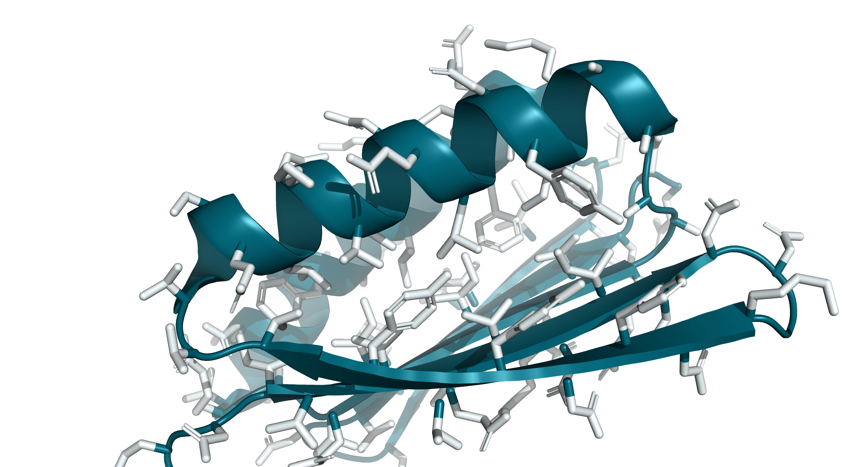 Support - Levitate Bio